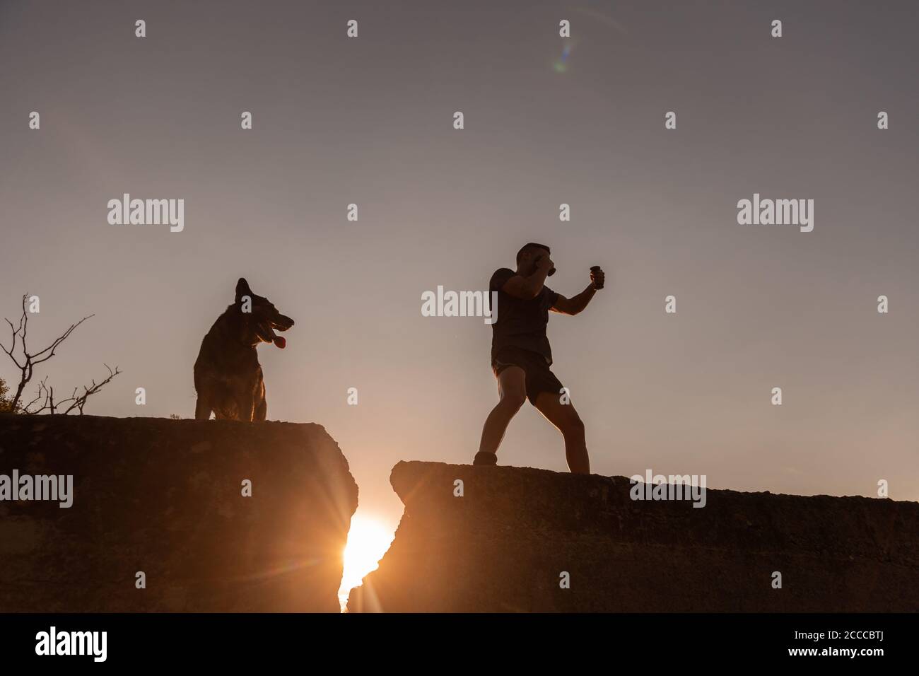 Shot of a male training with the dog outside Stock Photo - Alamy