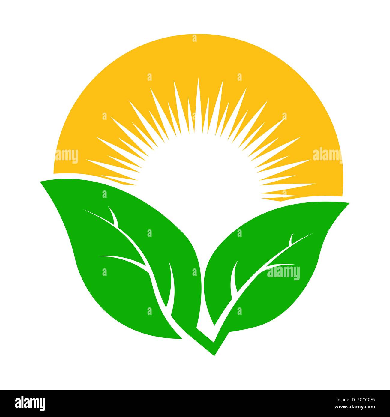 sun and a leaf. Template for a logo, sticker, or emblem isolated on a ...