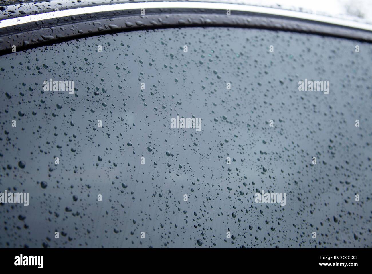 Water drops collect on top of metallic car surface Stock Photo - Alamy