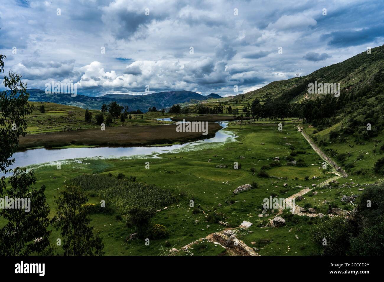 Beautiful scenery of a green landscape with a river and greenery Stock ...