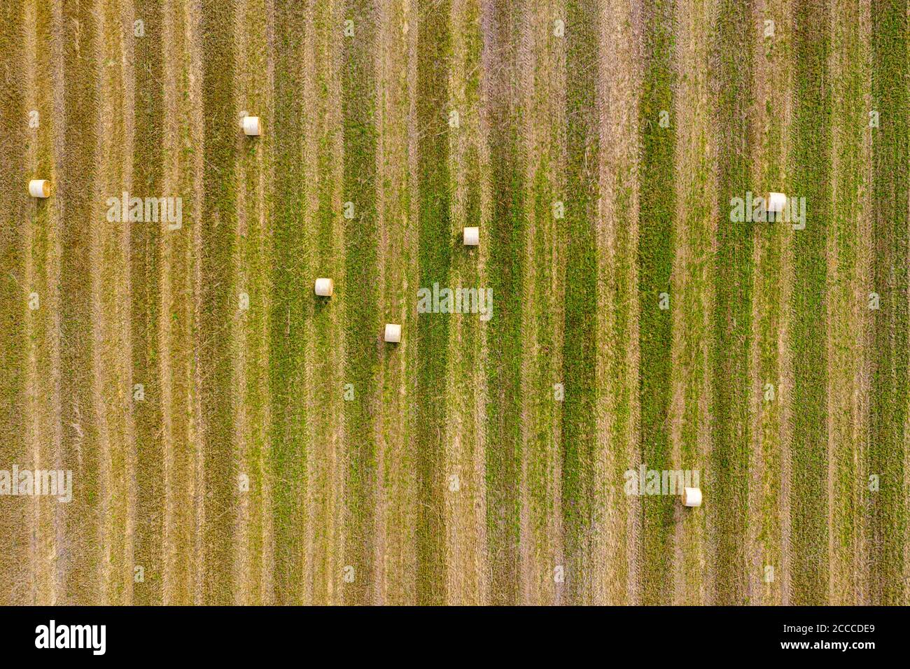 Top hay hi-res stock photography and images - Alamy