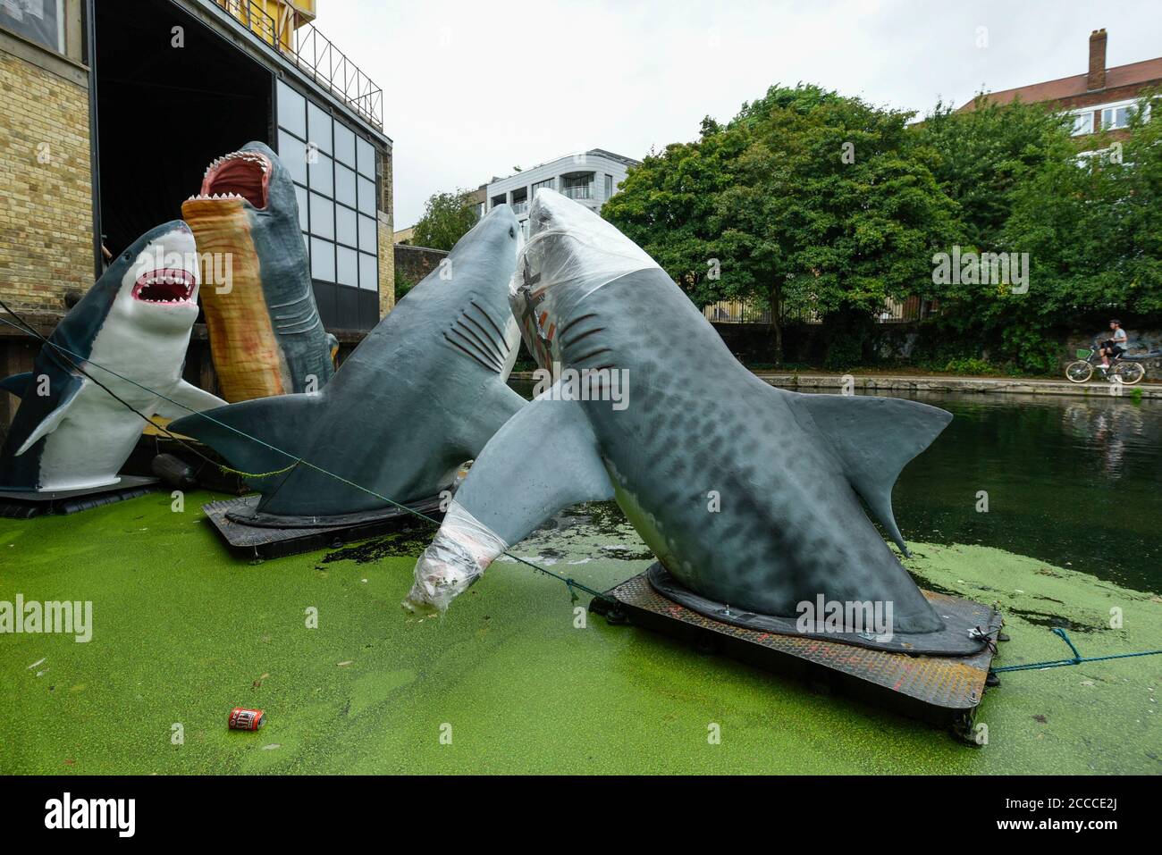 Council of regents hi-res stock photography and images - Alamy