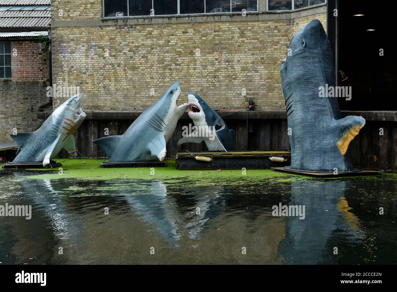 London, UK. 21 August 2020. SHARKS! by architect Jamie Shorten is ...