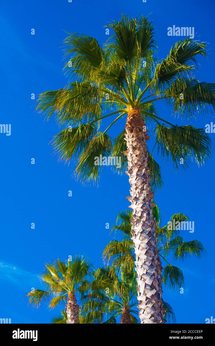 Spanish Beach Resort in Barcelona, Spain. Sitges area is known as a ...