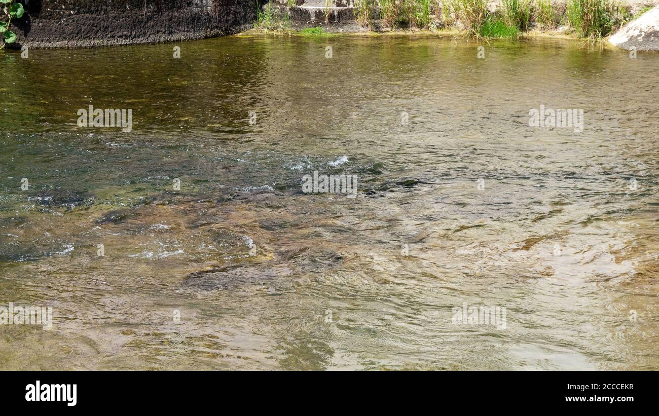 Water surface calm hi-res stock photography and images - Alamy