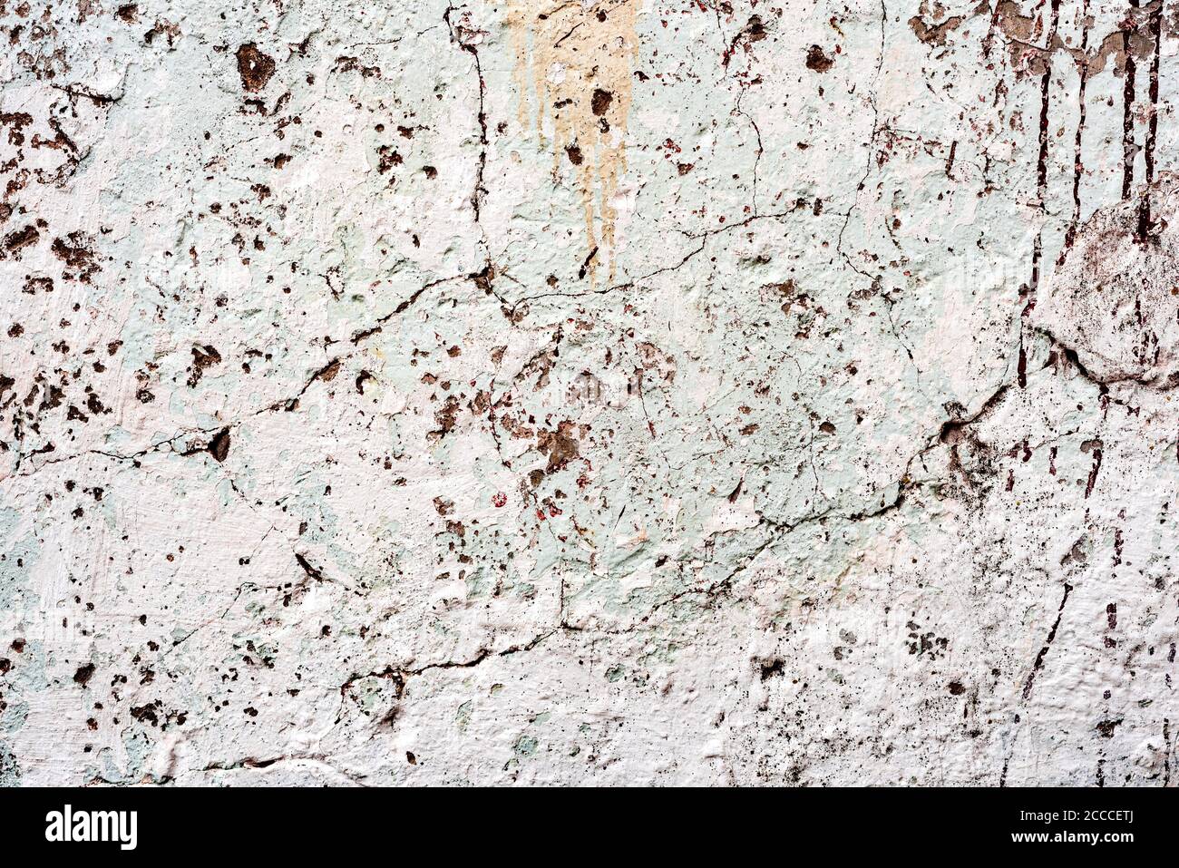 Cream concreted wall for interiors or outdoor exposed surface polished ...