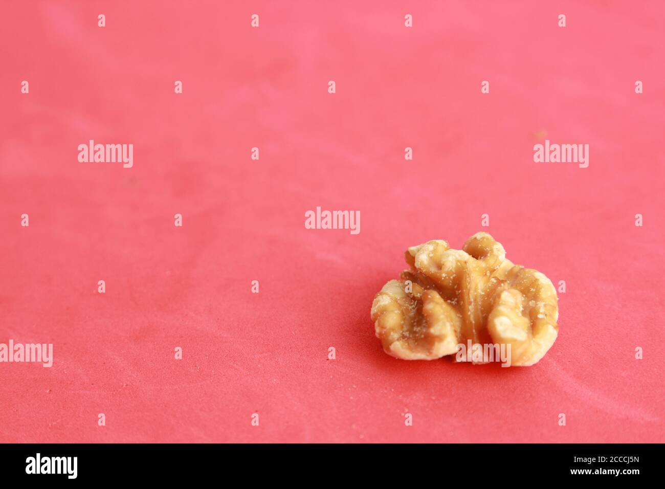 Selective focus closeup shot of a walnut kernel on a pink background ...