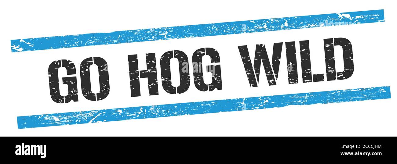 GO HOG WILD text on black blue grungy lines stamp sign Stock Photo - Alamy