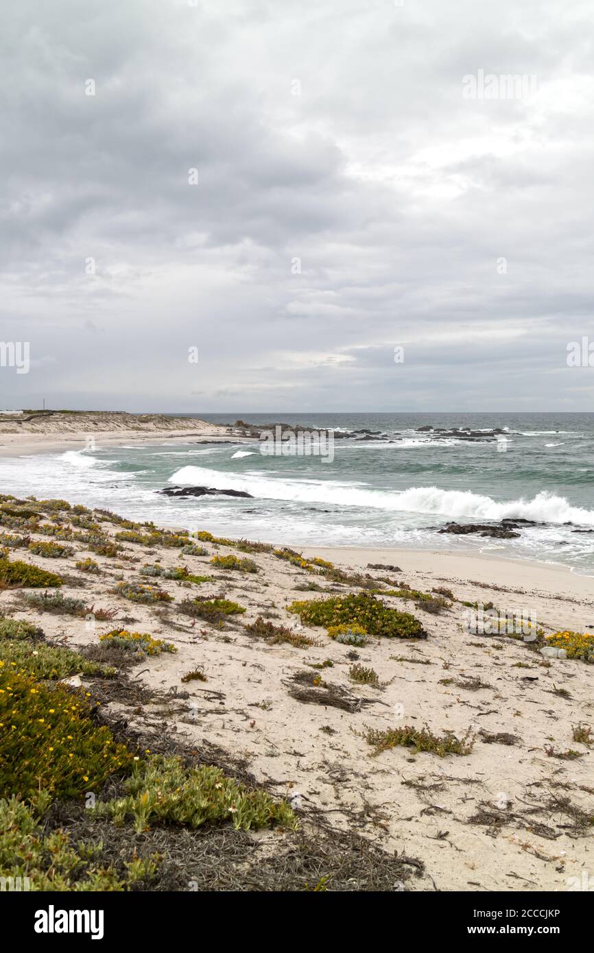 View of Harbor and Beaches at Yzerfontein on the West Coast of the ...