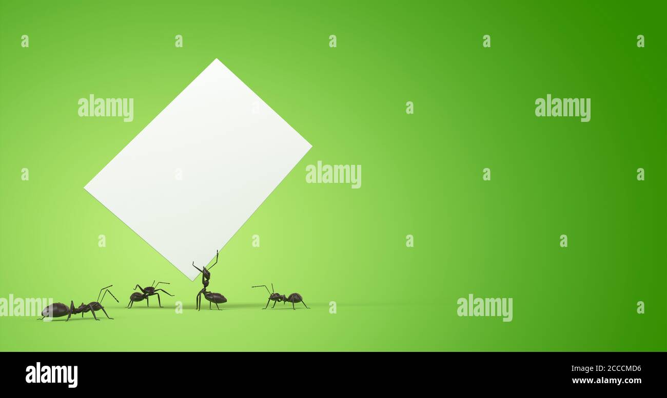 ants carrying a sheet of paper 3D rendering Stock Photo - Alamy