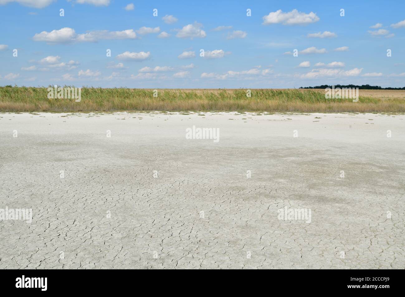 Dried lake bed hi-res stock photography and images - Alamy