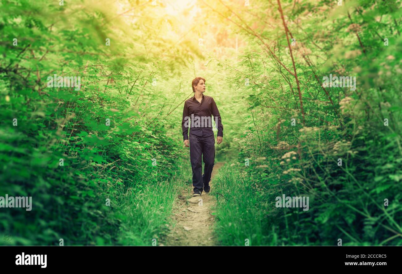 Man walking on a deep forest dressed as a young businessman Stock Photo ...