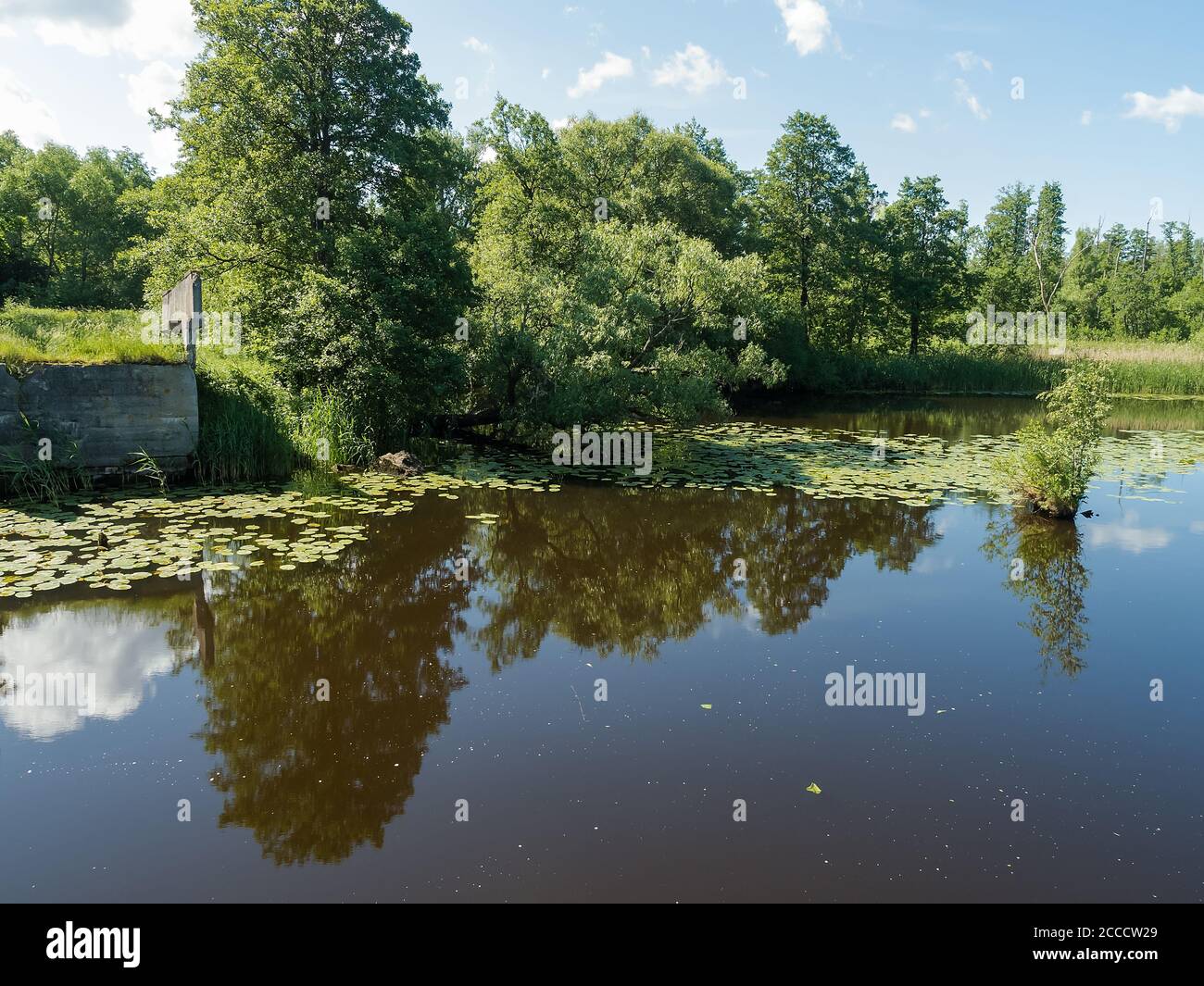 the remains of a German bridge on the river, old destroyed bridge over ...