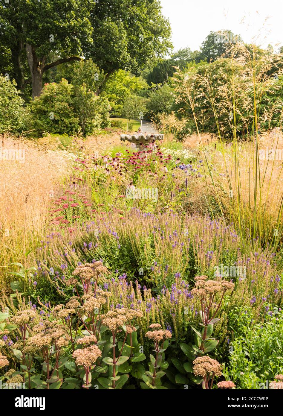 A well landscaped garden with mixed flowers on display in an English ...