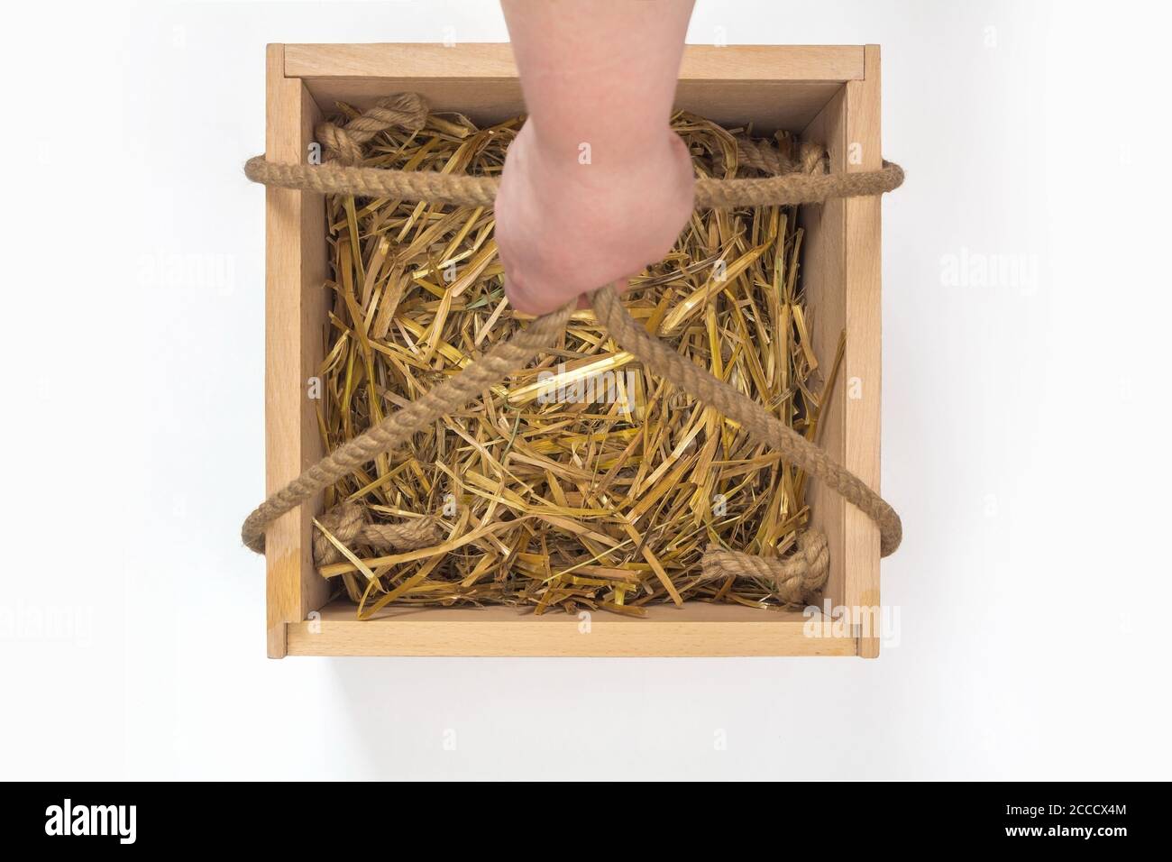 The hand hold luxury wooden box by rope handles Stock Photo - Alamy