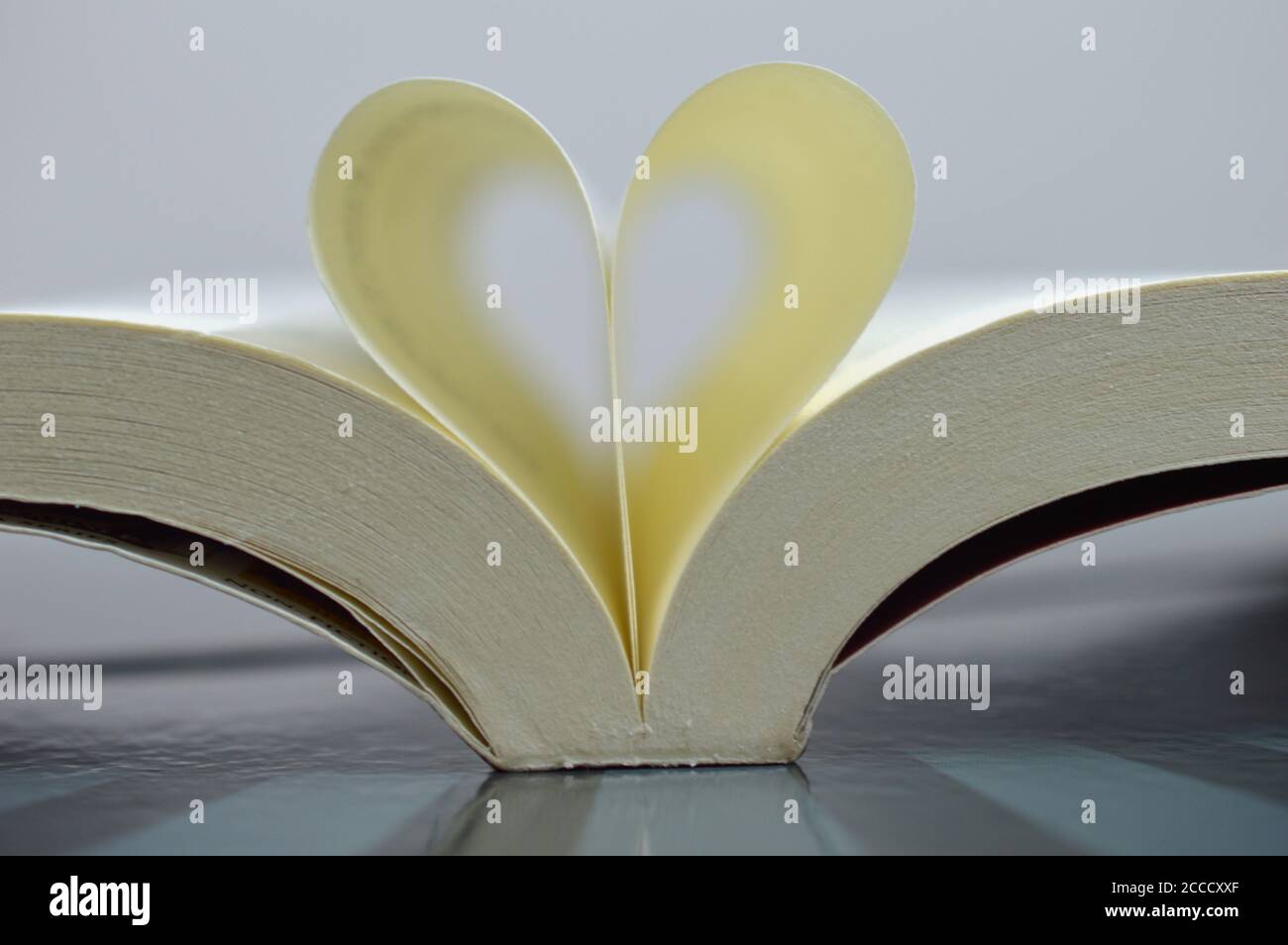 image shows a book with its pages placed like a heart. Indicating love ...