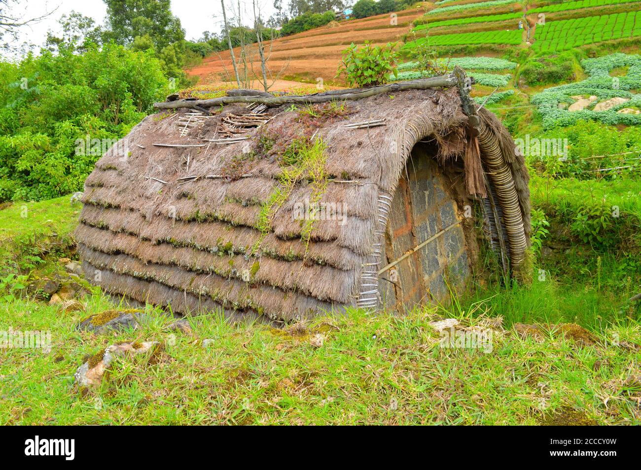 hut of Indigenous Toda people who live in the Nilgiri Mountains of the ...