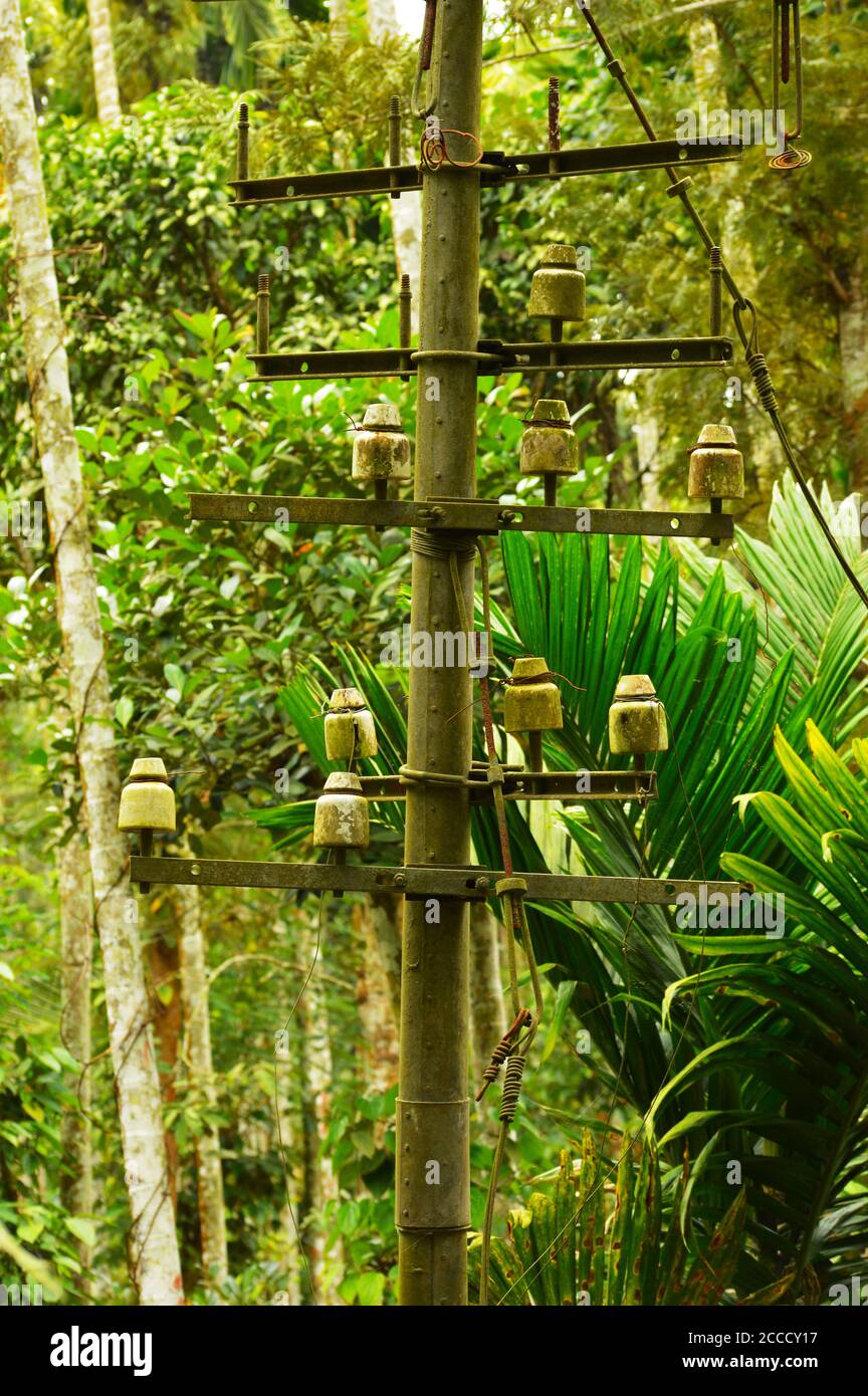 Antique telephone pole High Resolution Stock Photography and Images - Alamy