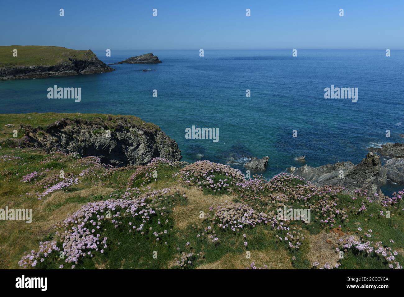 summer coastal view at west pentire cornwall uk Stock Photo - Alamy