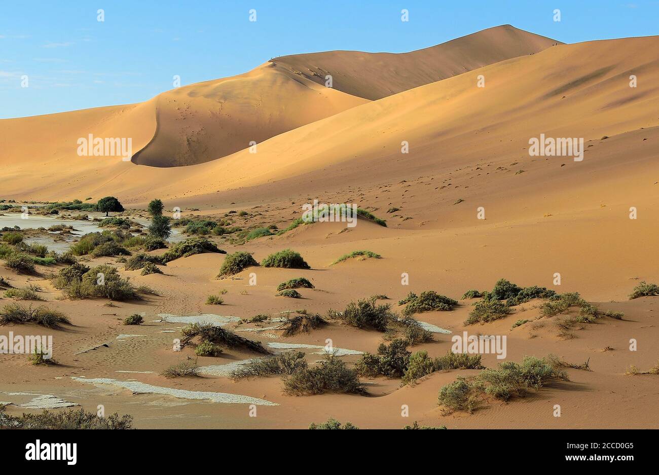 BIG SAND DUNES DURING SAFARI IN THE NAMIB DESERT IN NAMIBIA Stock Photo ...