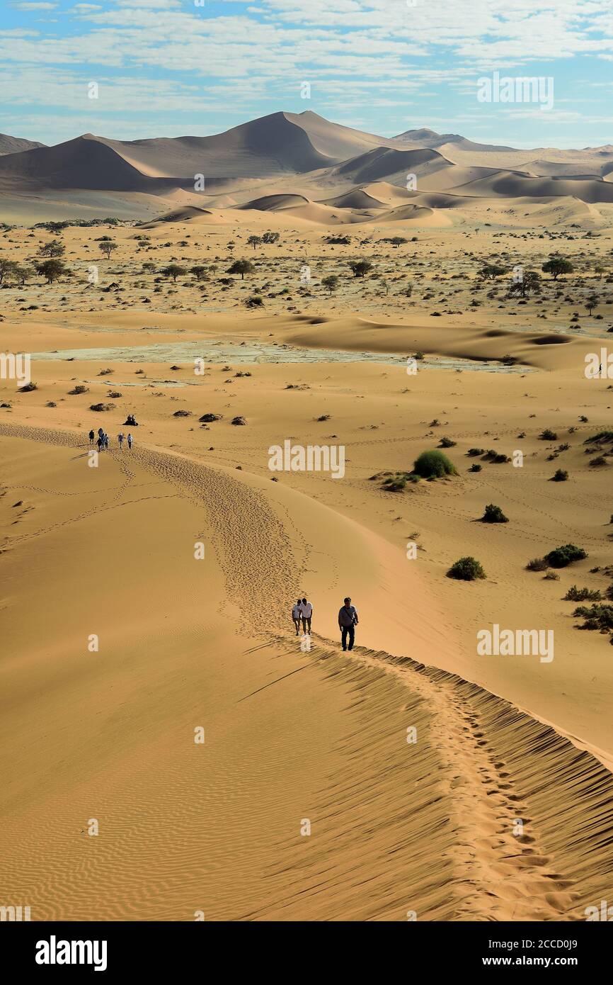 BIG SAND DUNES DURING SAFARI IN THE NAMIB DESERT IN NAMIBIA Stock Photo ...