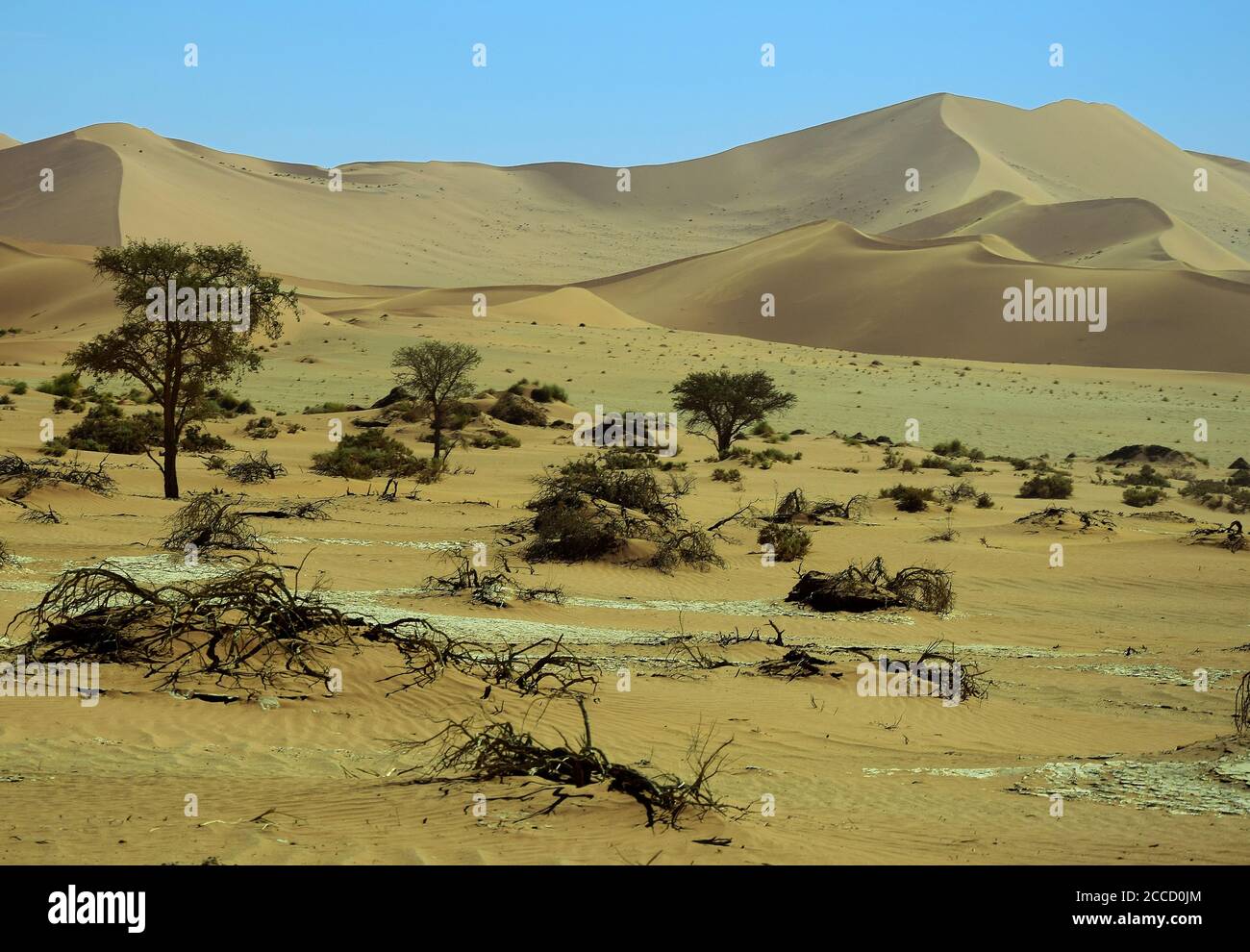 BIG SAND DUNES DURING SAFARI IN THE NAMIB DESERT IN NAMIBIA Stock Photo ...