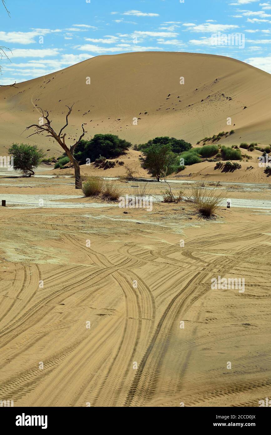 BIG SAND DUNES DURING SAFARI IN THE NAMIB DESERT IN NAMIBIA Stock Photo ...