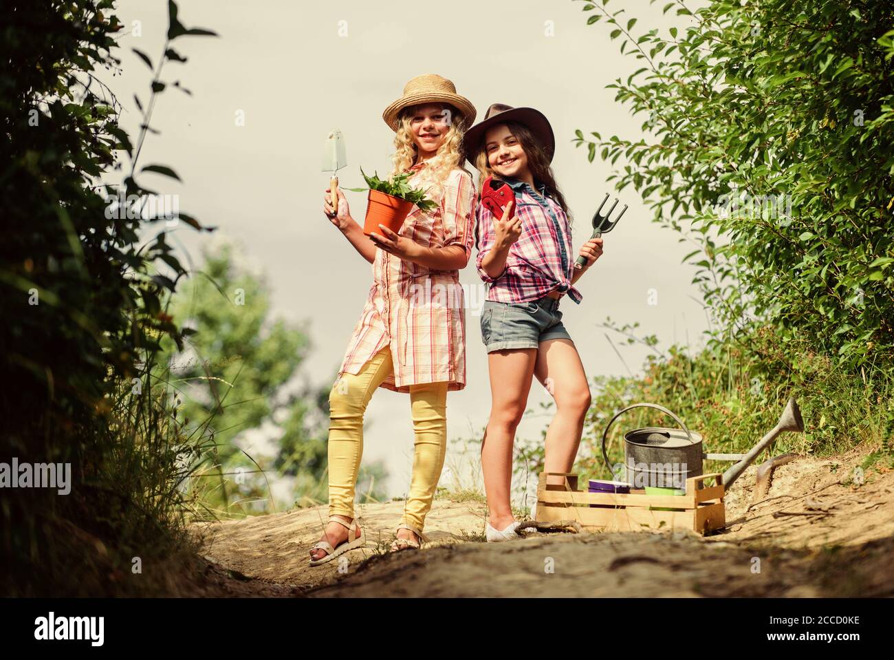 Eco farming concept. On way to family farm. Agriculture concept ...