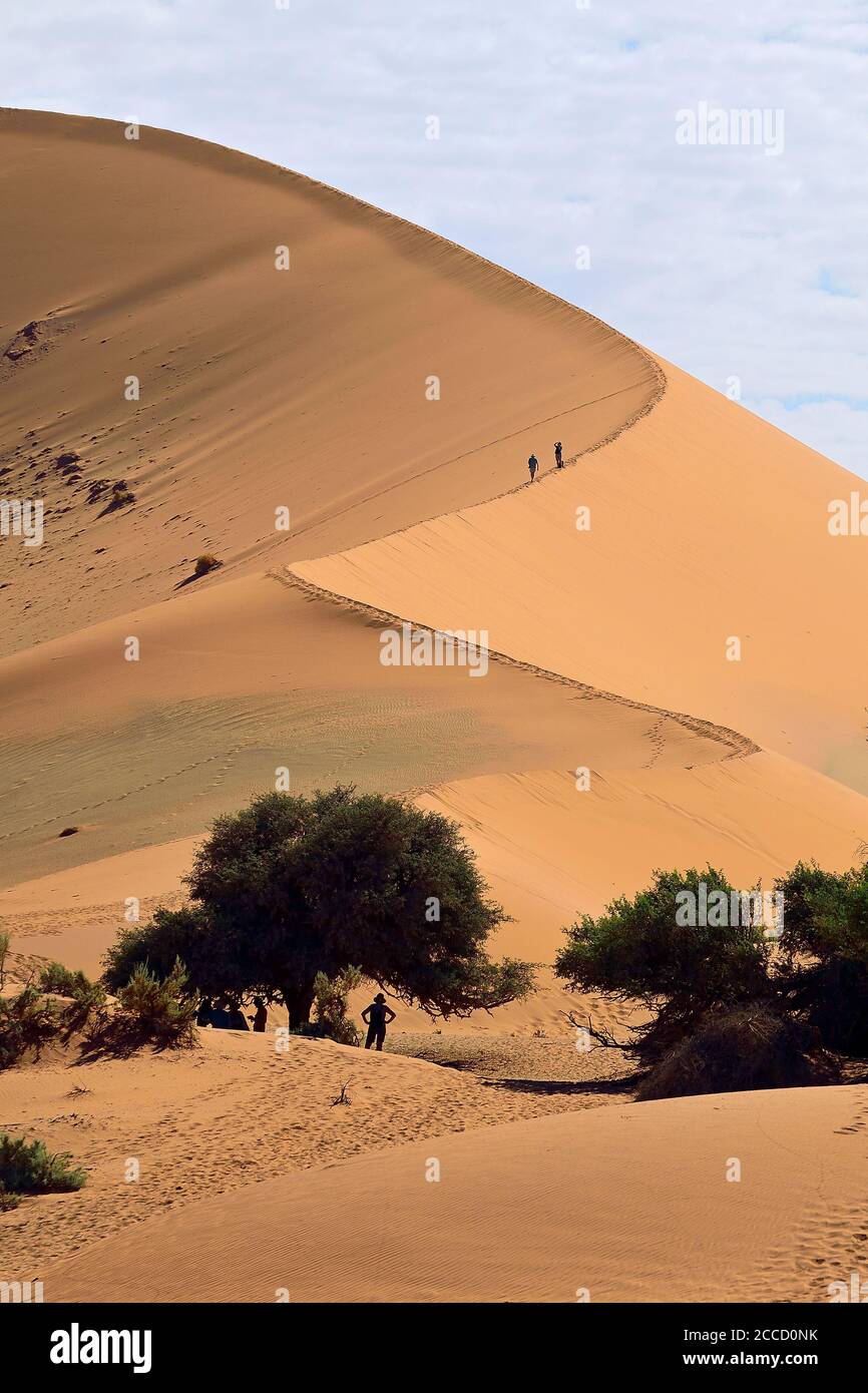 BIG SAND DUNES DURING SAFARI IN THE NAMIB DESERT IN NAMIBIA Stock Photo ...