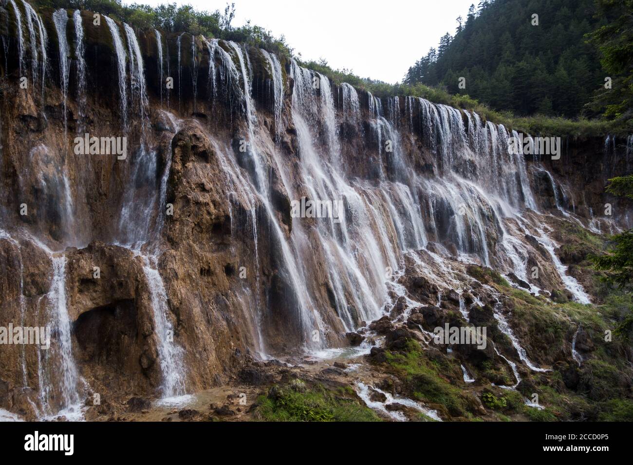Temperate forest china hi-res stock photography and images - Alamy