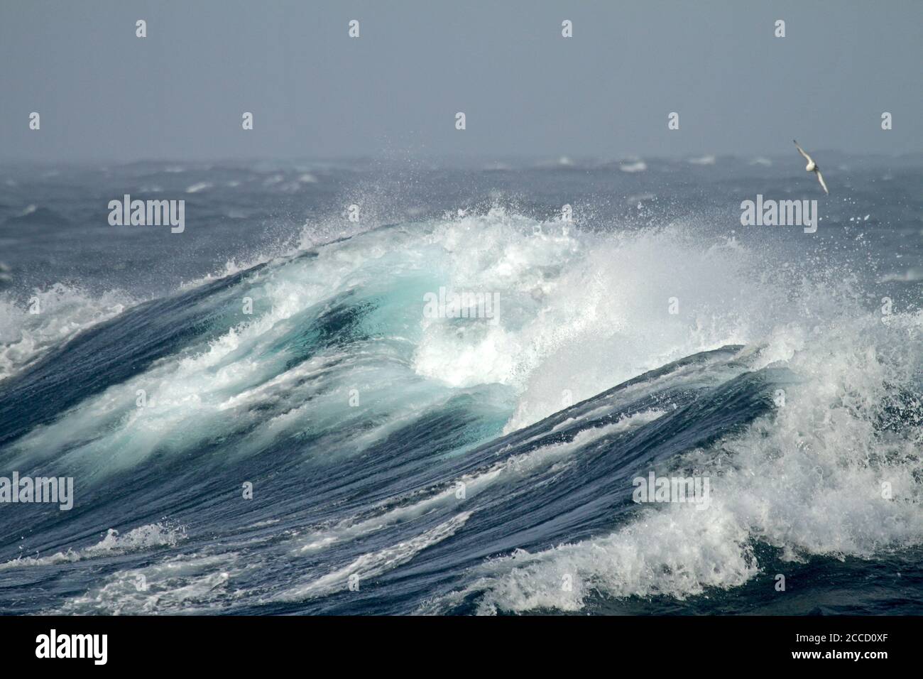 Huge ocean wave hi-res stock photography and images - Alamy