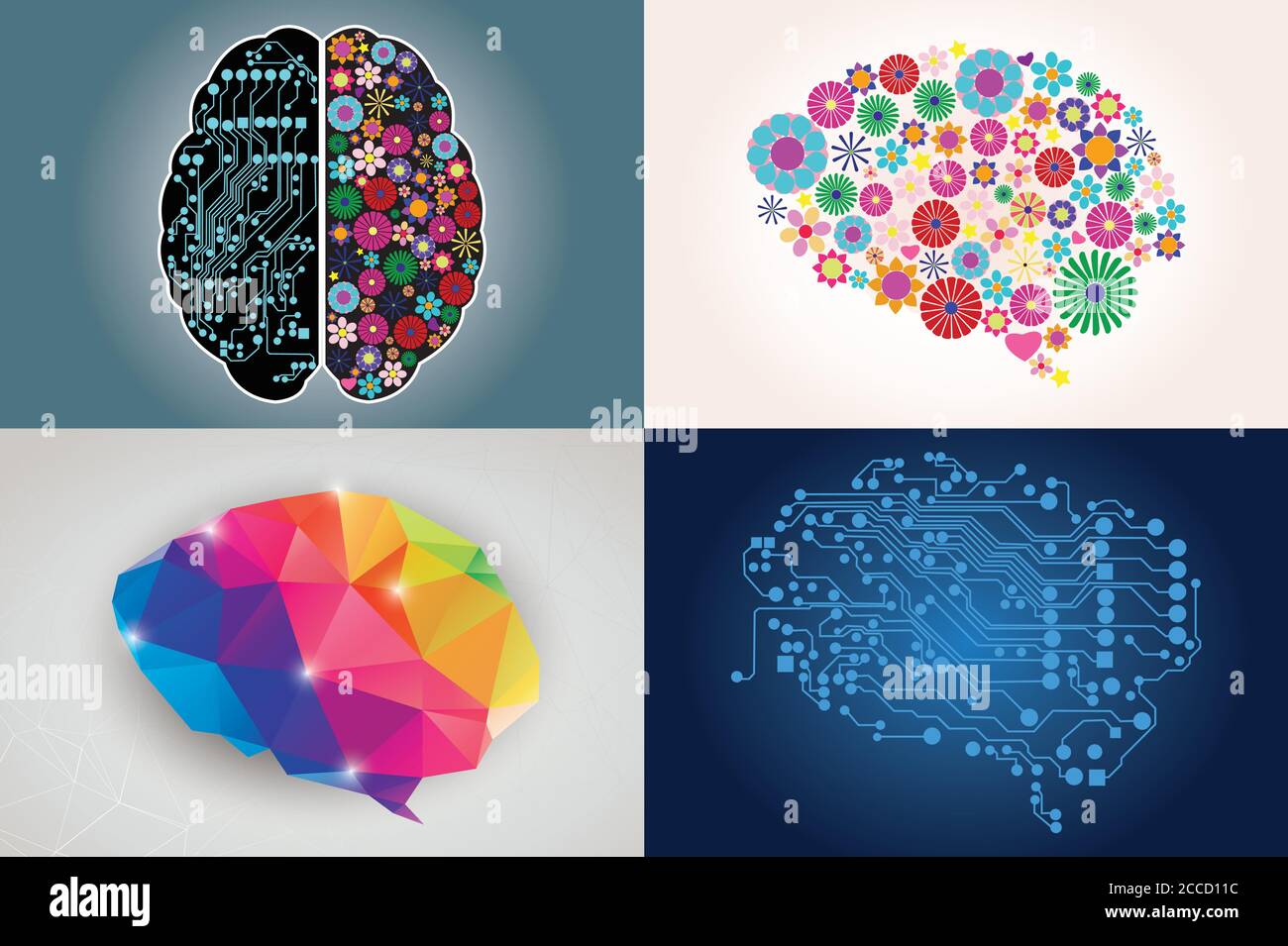 Brains cortex Stock Vector Images - Alamy