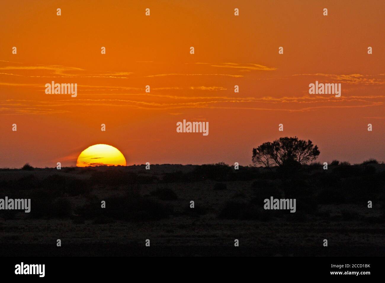 Sunrise over the Australian outback Stock Photo - Alamy