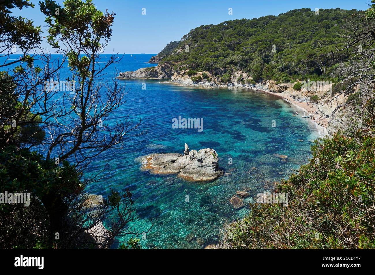Hyeres (south-eastern France): landscape of the Giens peninsula ...