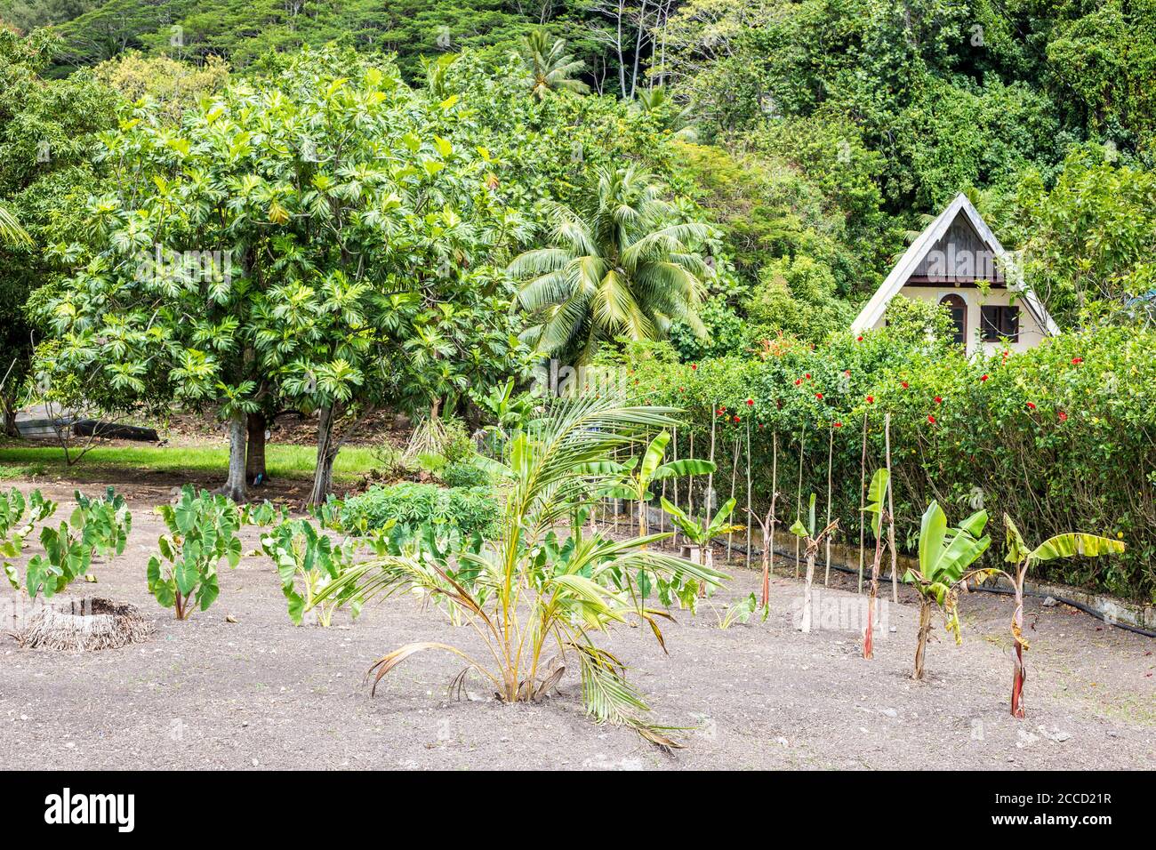 Raiatea Island, French Polynesia Stock Photo - Alamy