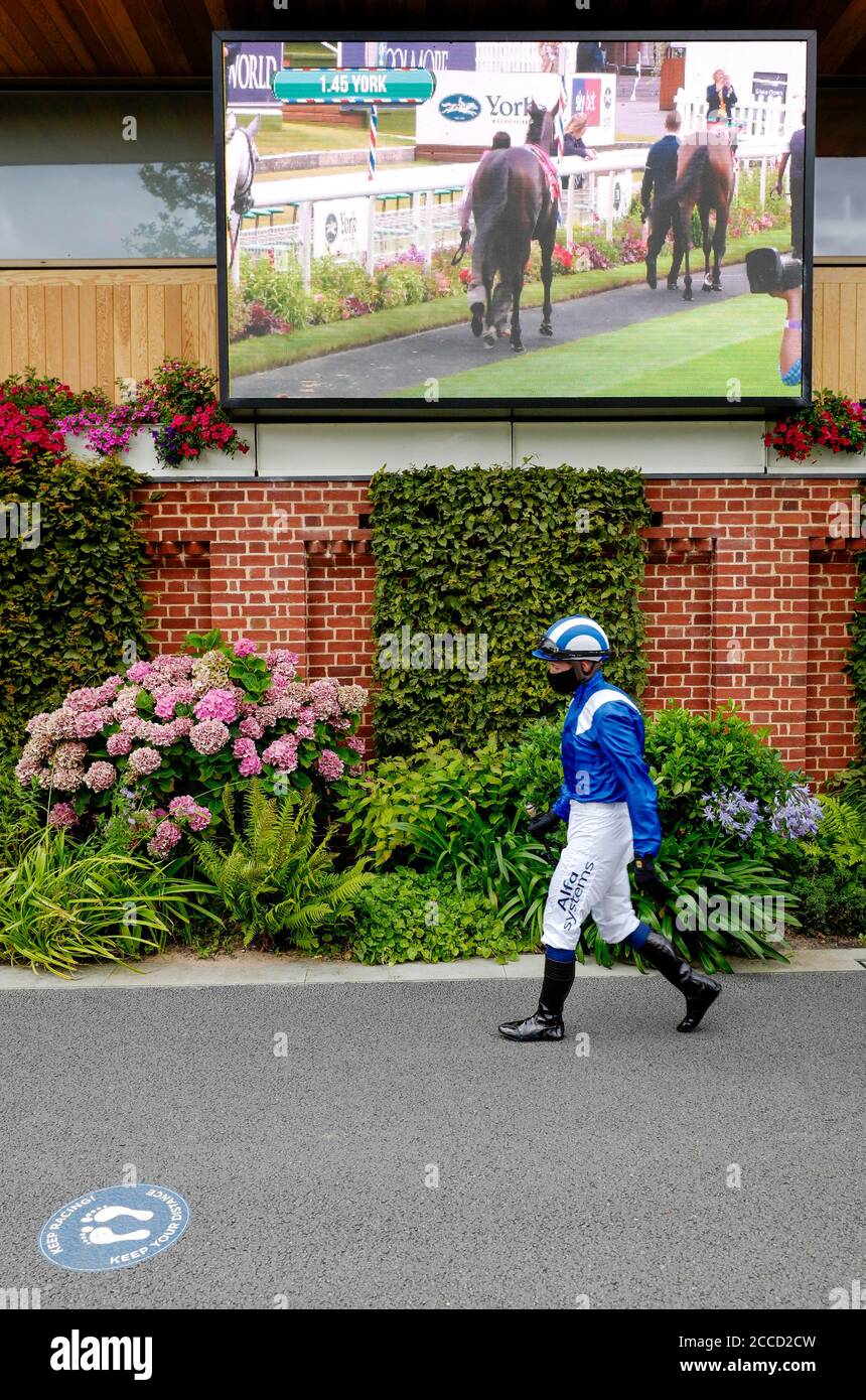 Jim crowley makes hi-res stock photography and images - Alamy Jim crowley makes hi-res stock photography and images - Alamy