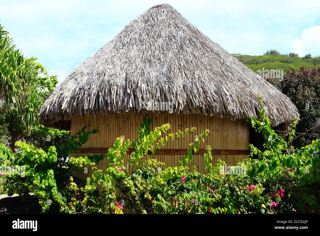 House in Raiatea Island, French Polynesia Stock Photo - Alamy