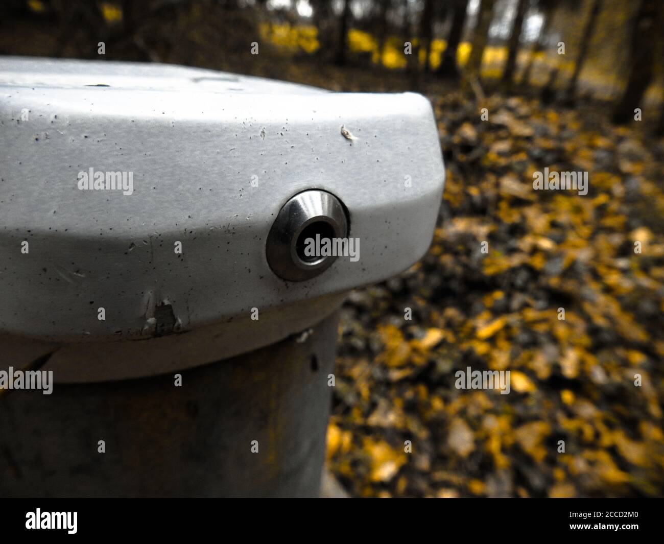 Modern fire hydrant in the middle of the forest Stock Photo - Alamy