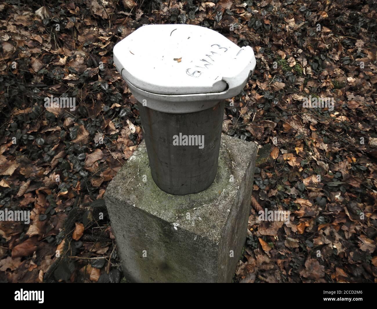 Modern fire hydrant in the middle of the forest Stock Photo - Alamy