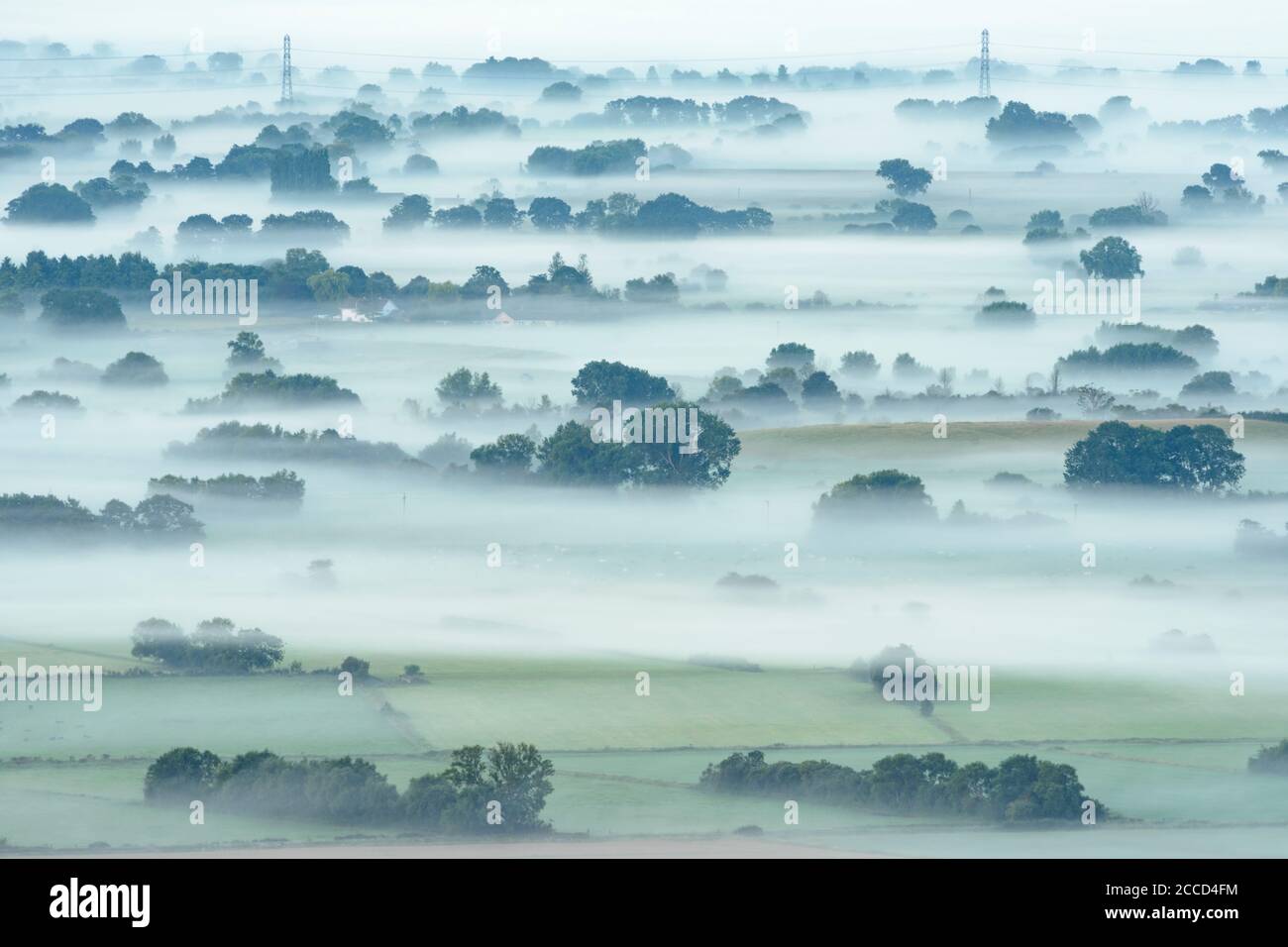 Mist lingering over fields before dawn on the Somerset Levels Stock ...