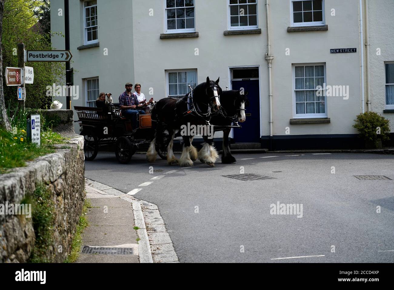 The Great British Shire Horses a real work horse Stock Photo - Alamy