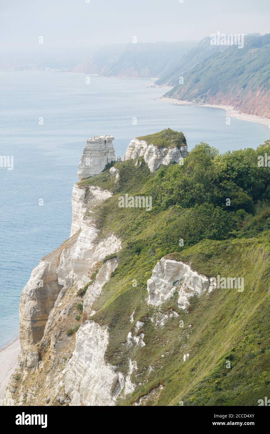 A view south along the Devon coastline, from Hooken Cliffs to ...