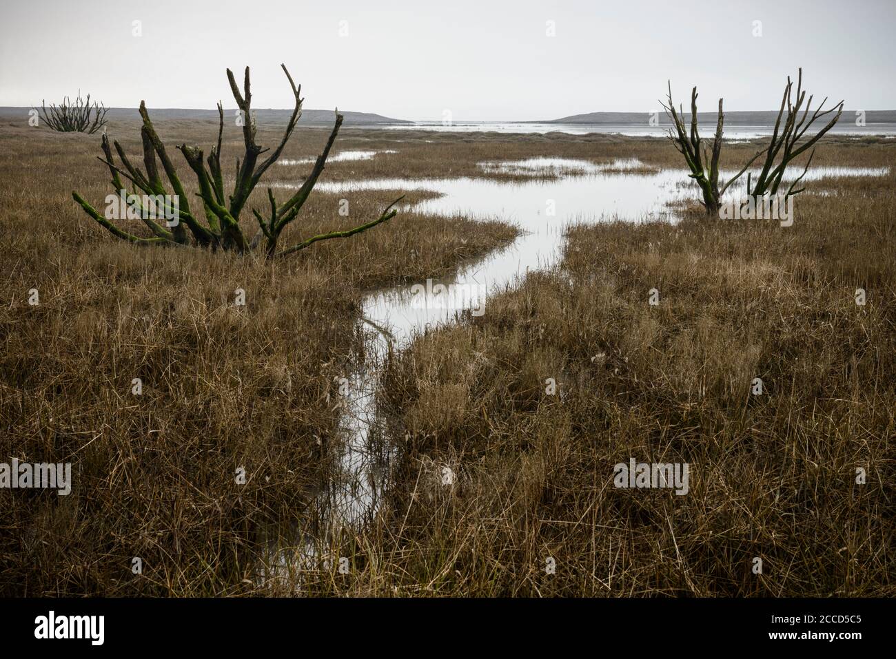 Porlock Salt Marsh, Somerset, flooded during a high tide Stock Photo ...