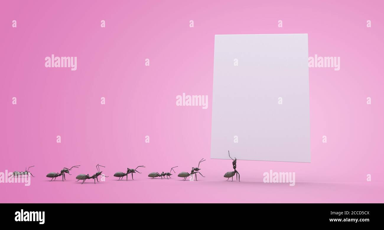 ants carrying a sheet of paper 3D rendering Stock Photo - Alamy
