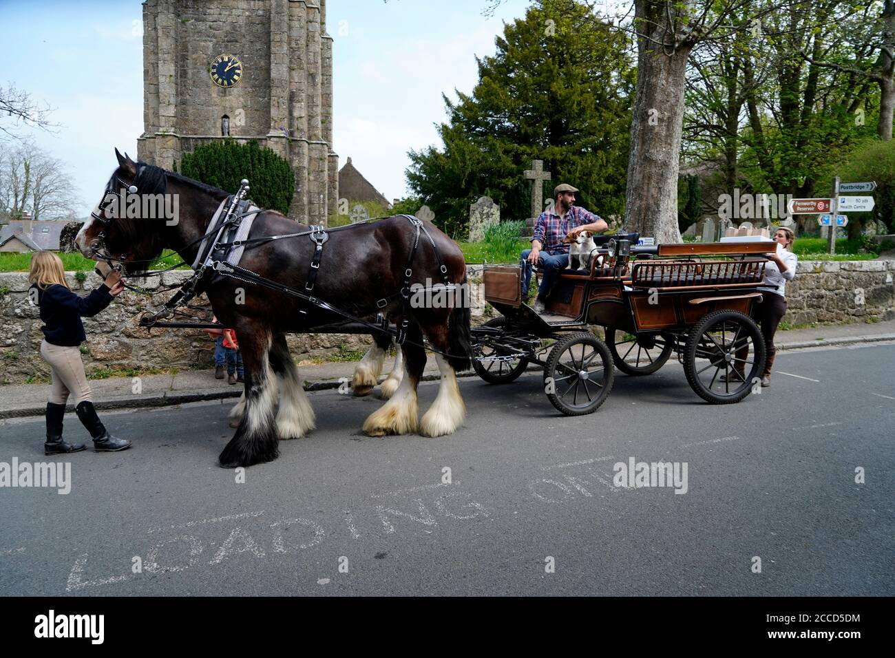 The Great British Shire Horses a real work horse Stock Photo - Alamy