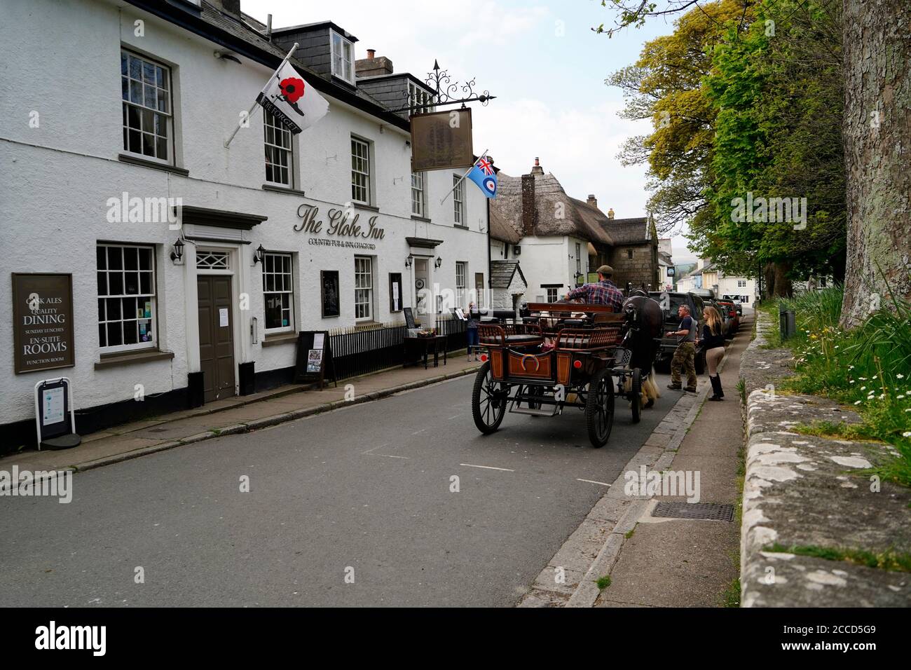The Great British Shire Horses a real work horse Stock Photo - Alamy