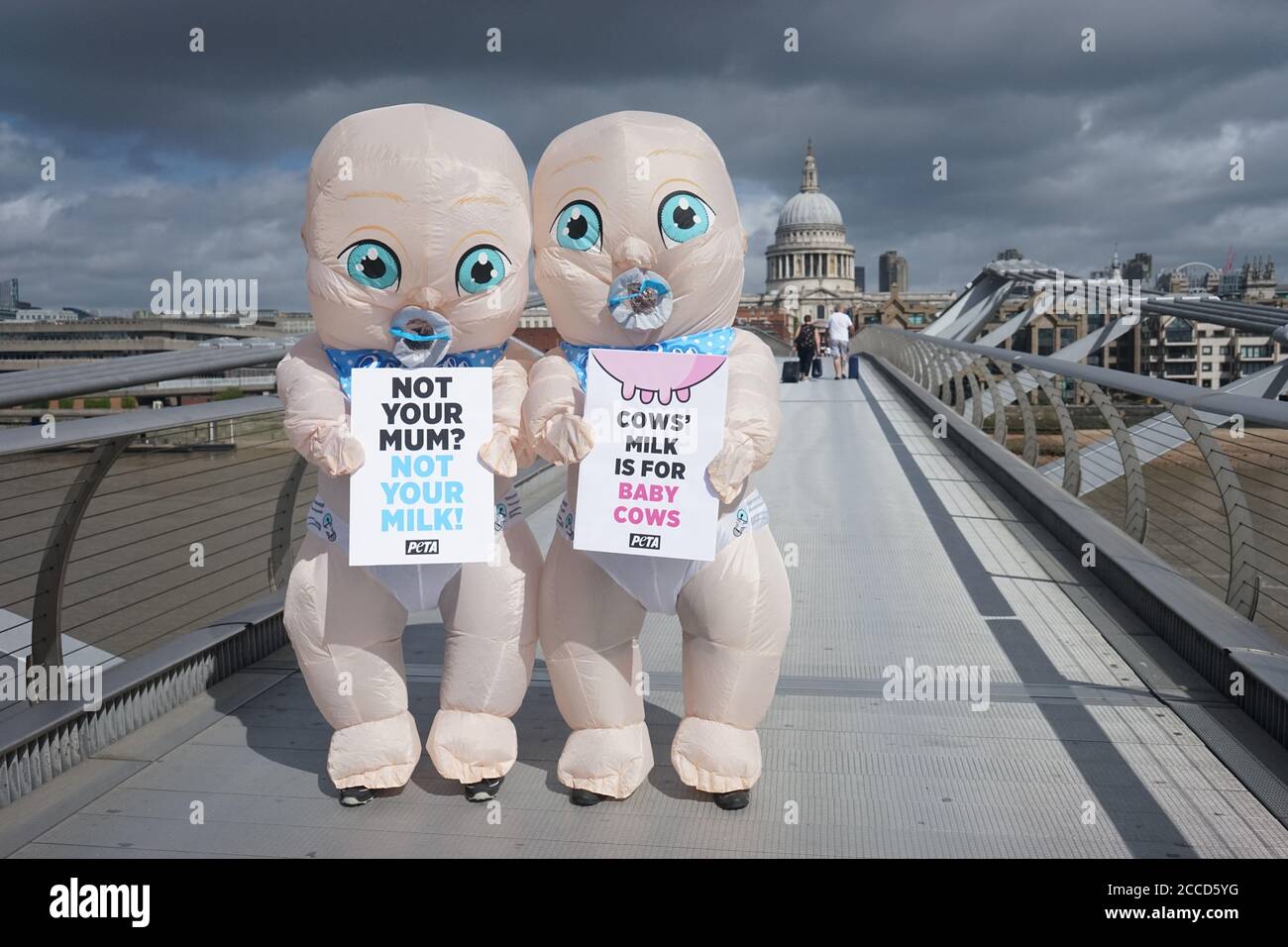 World plant milk day hi-res stock photography and images - Alamy