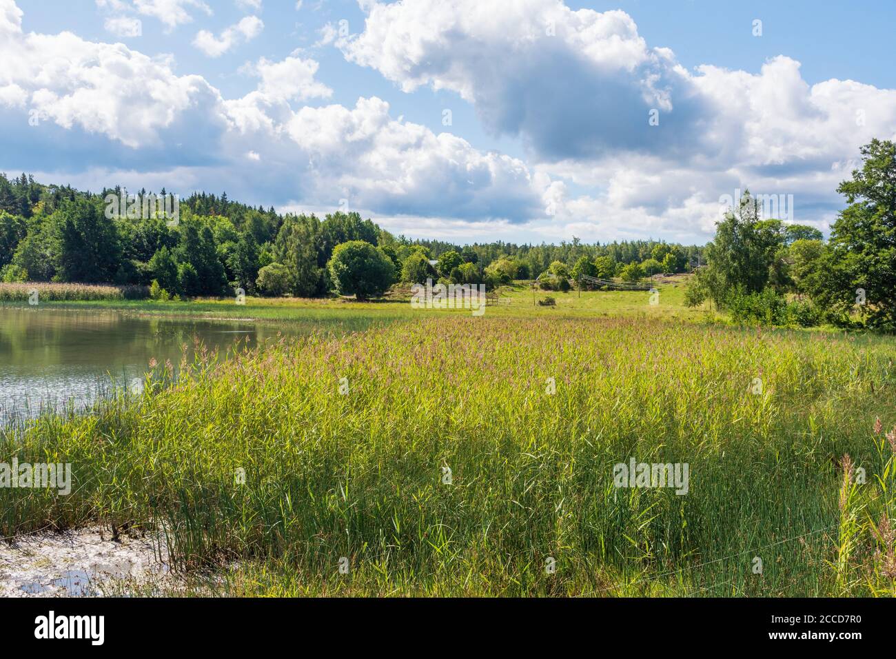 Seili island on a late summer day at Turku archipelago in Finland Stock ...