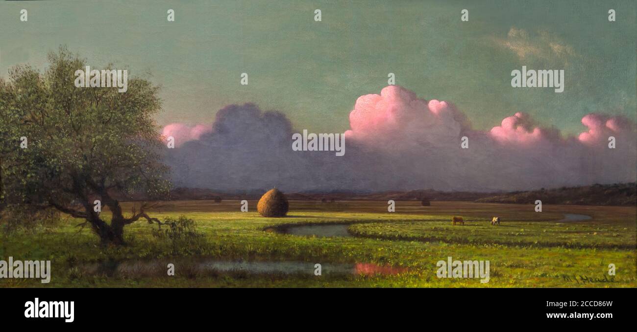 Martin heade hi-res stock photography and images - Alamy