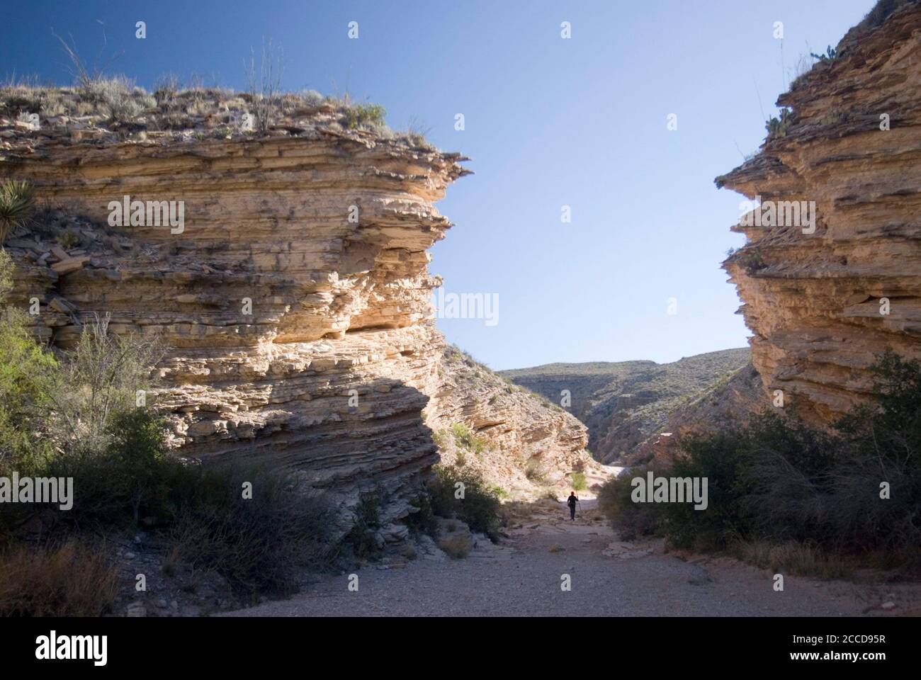 Big Bend National Park, Texas USA, March 15, 2007: Hiker in Ernst ...